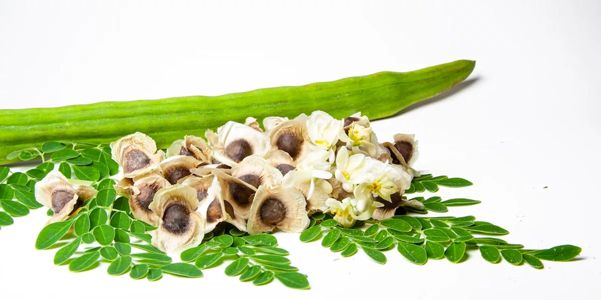 Moringa Benefits For Women: According To A Nutritionist