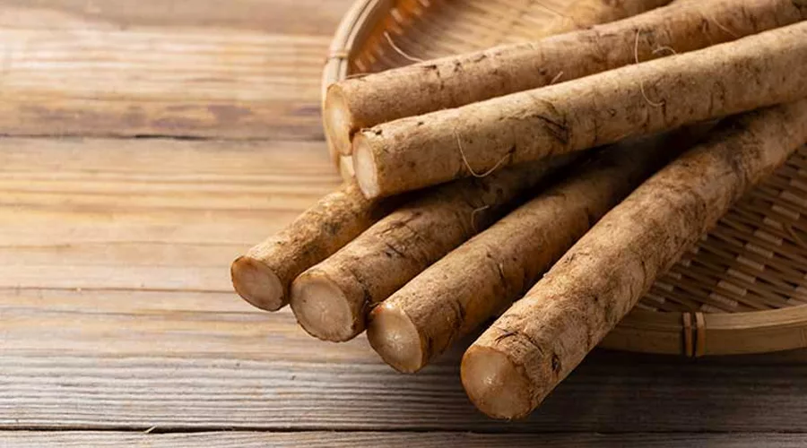 Burdock Root Benefits: Detox And Antioxidant